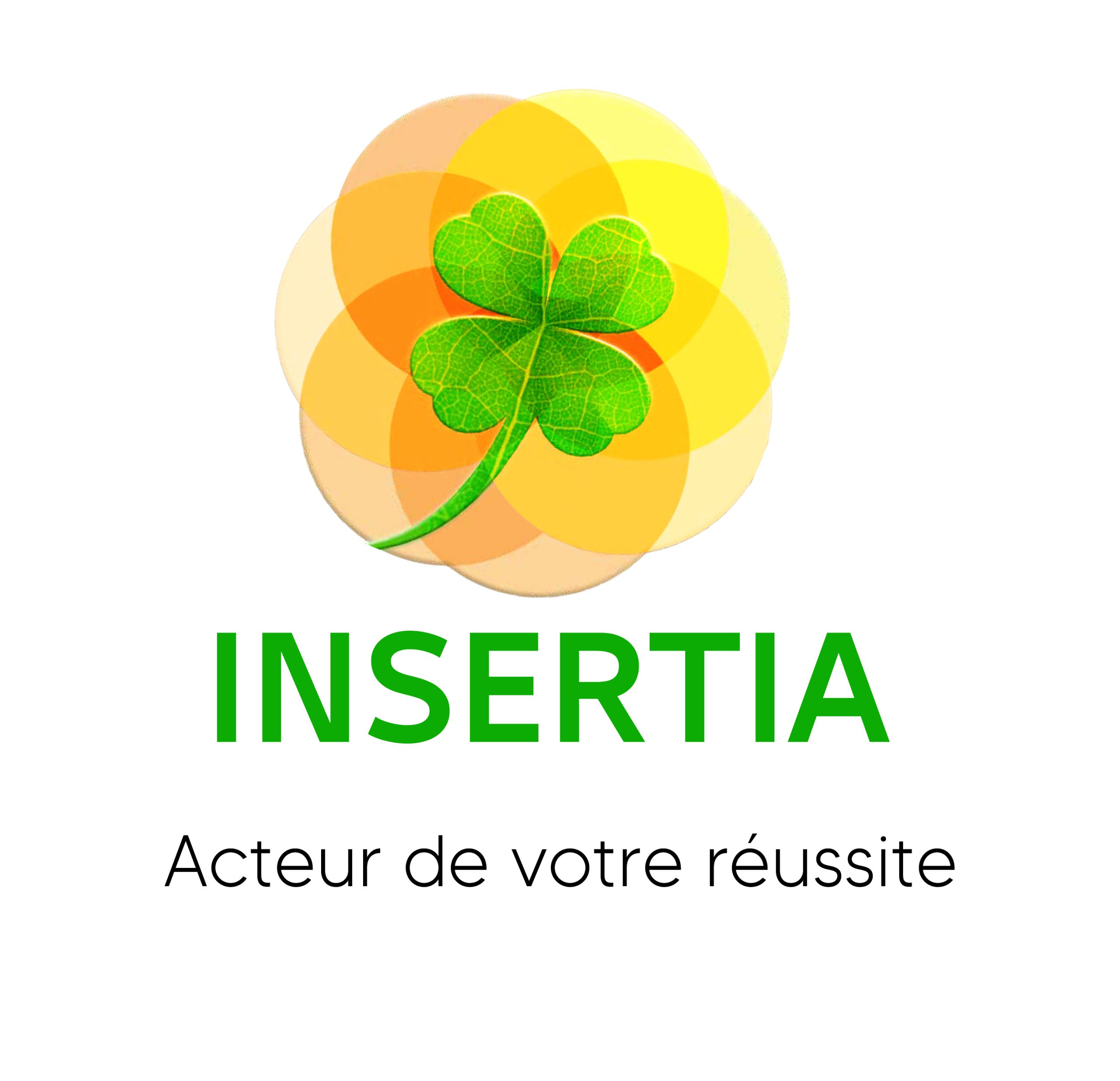 Formation BTP - CAR – intégration